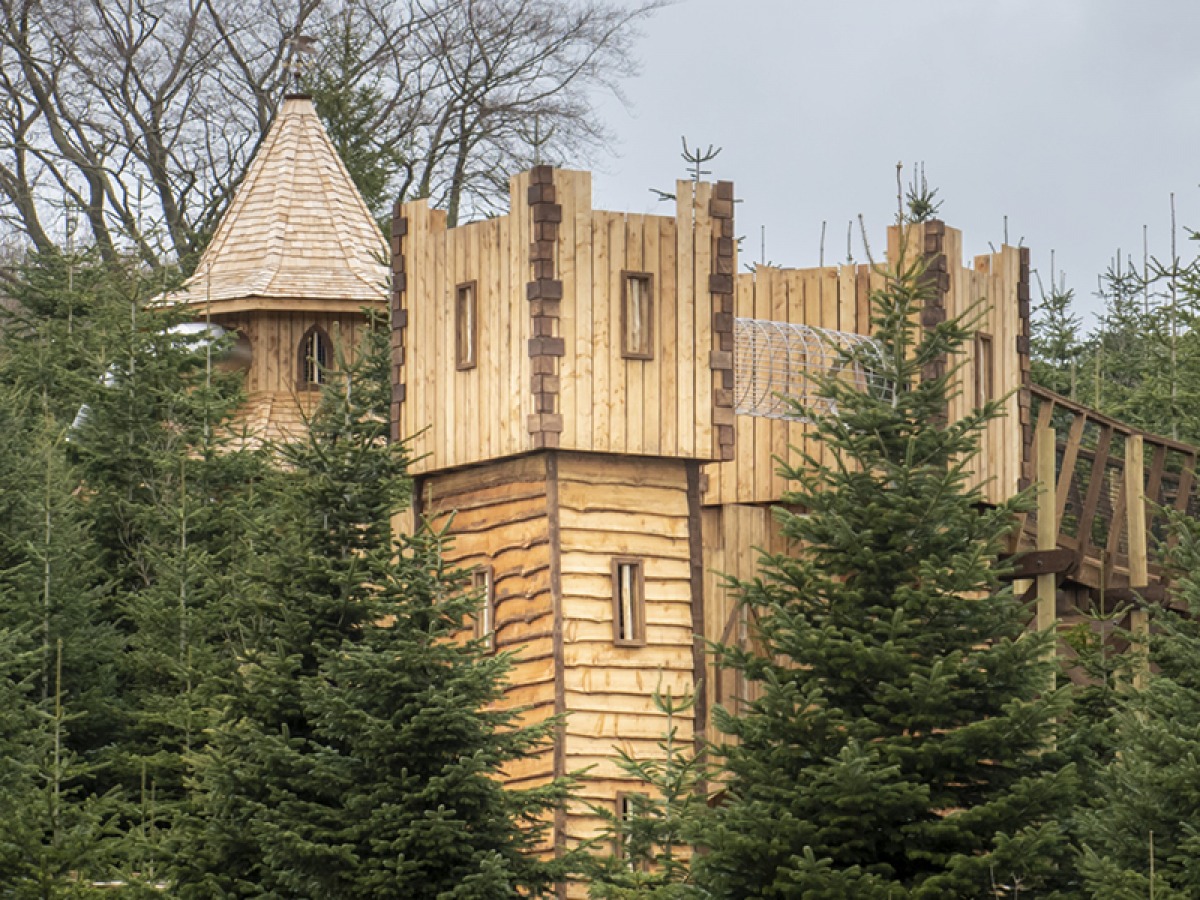 Rising Up: Playtime at The Plotters' Forest | Living North