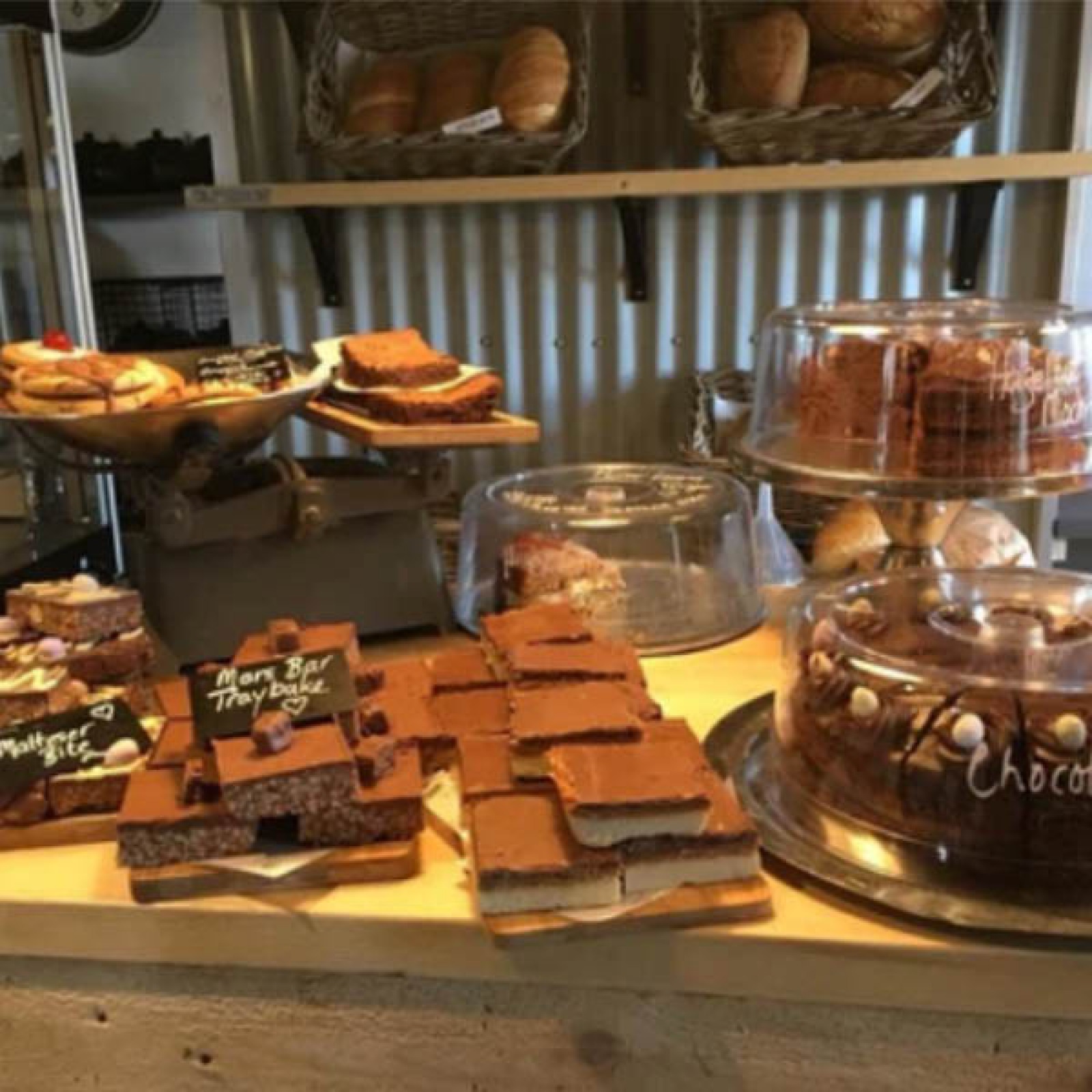 Dog-Friendly Cafs in Northumberland | Living North