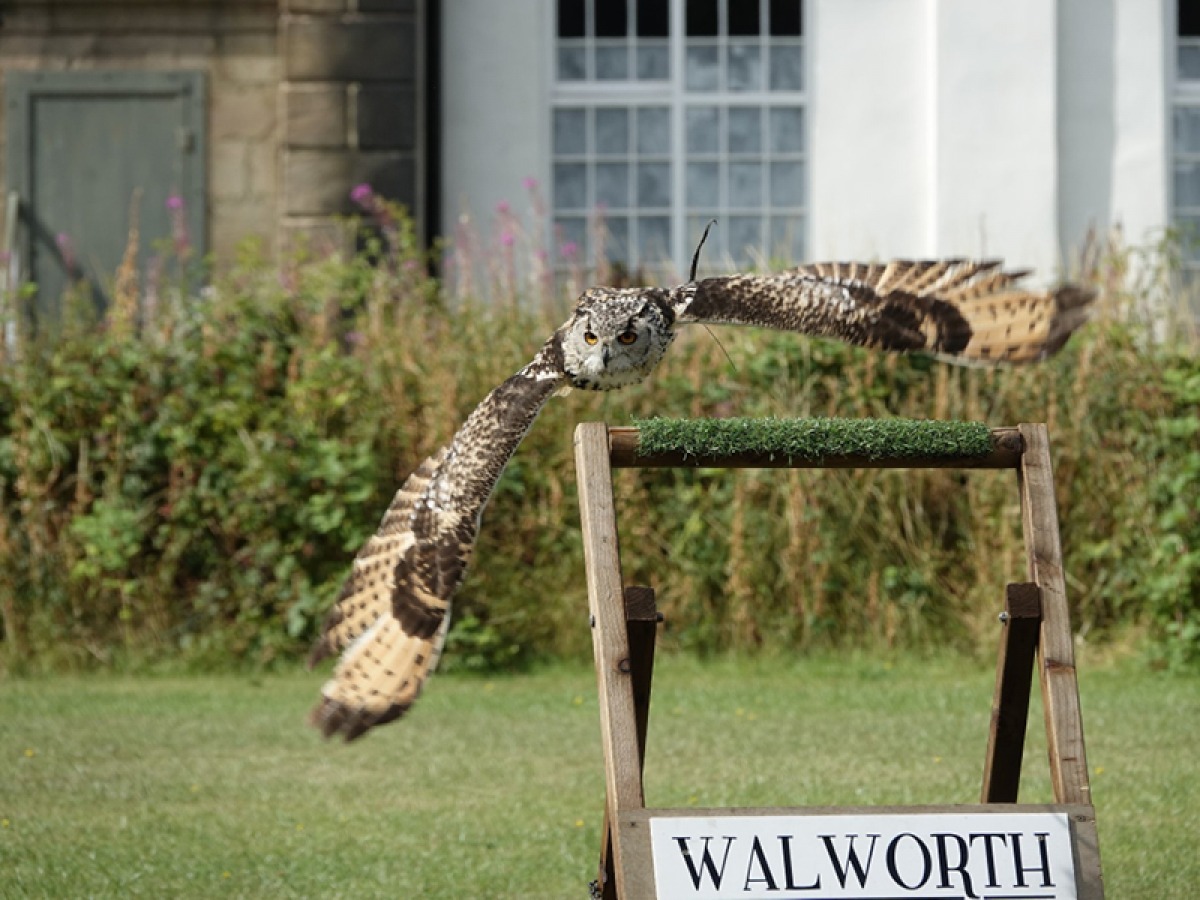 Discover the Hidden Gems of Darlington and Where You Need to Explore ...
