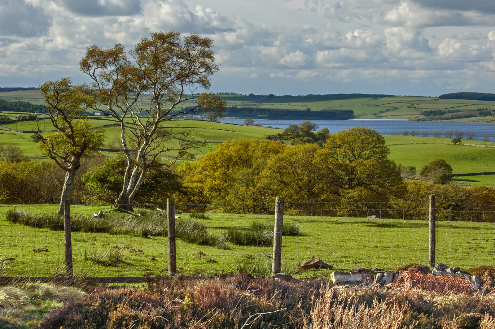 Susan Rowe Captures the Countryside with her Photography | Living North