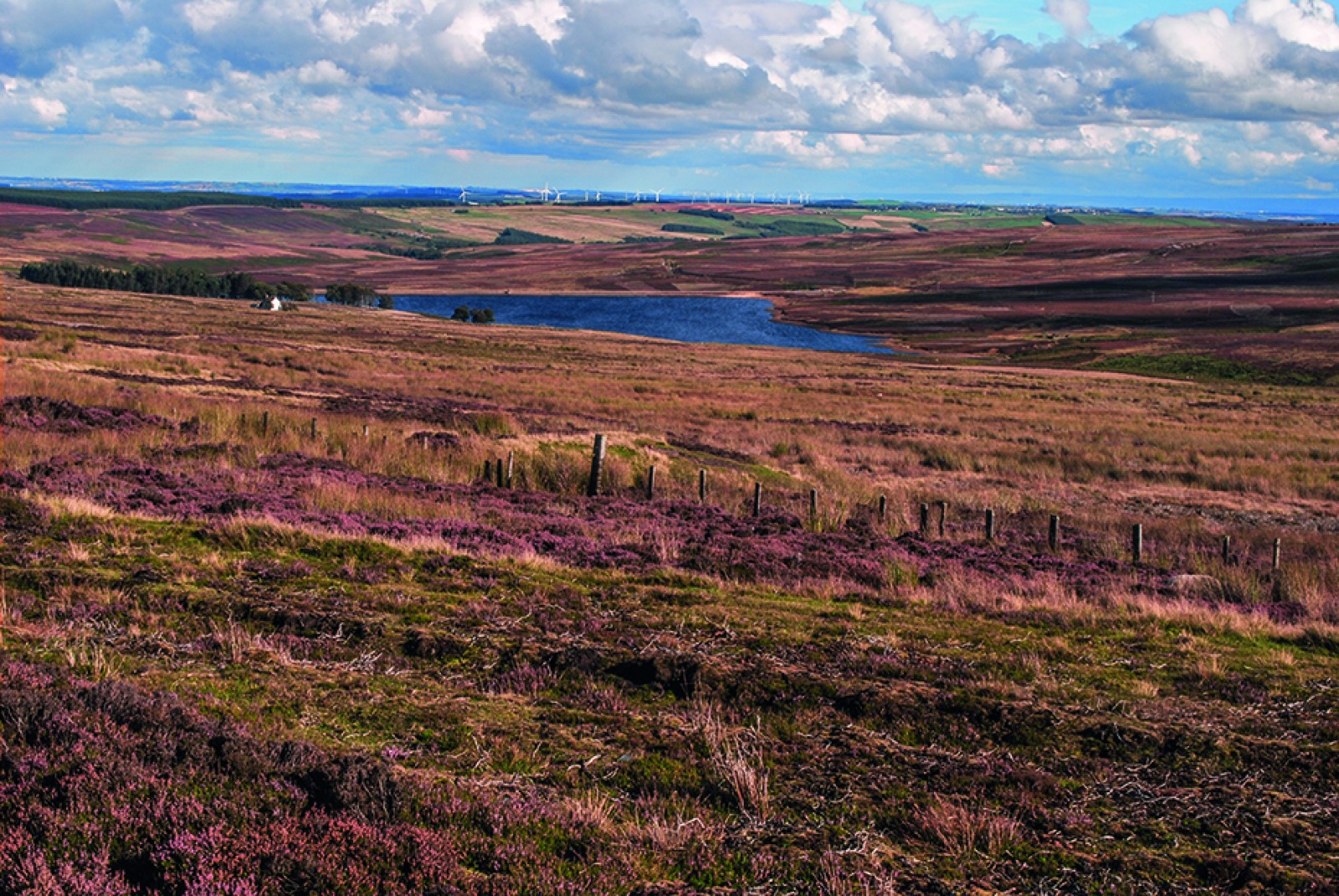 Susan Rowe Captures the Countryside with her Photography | Living North