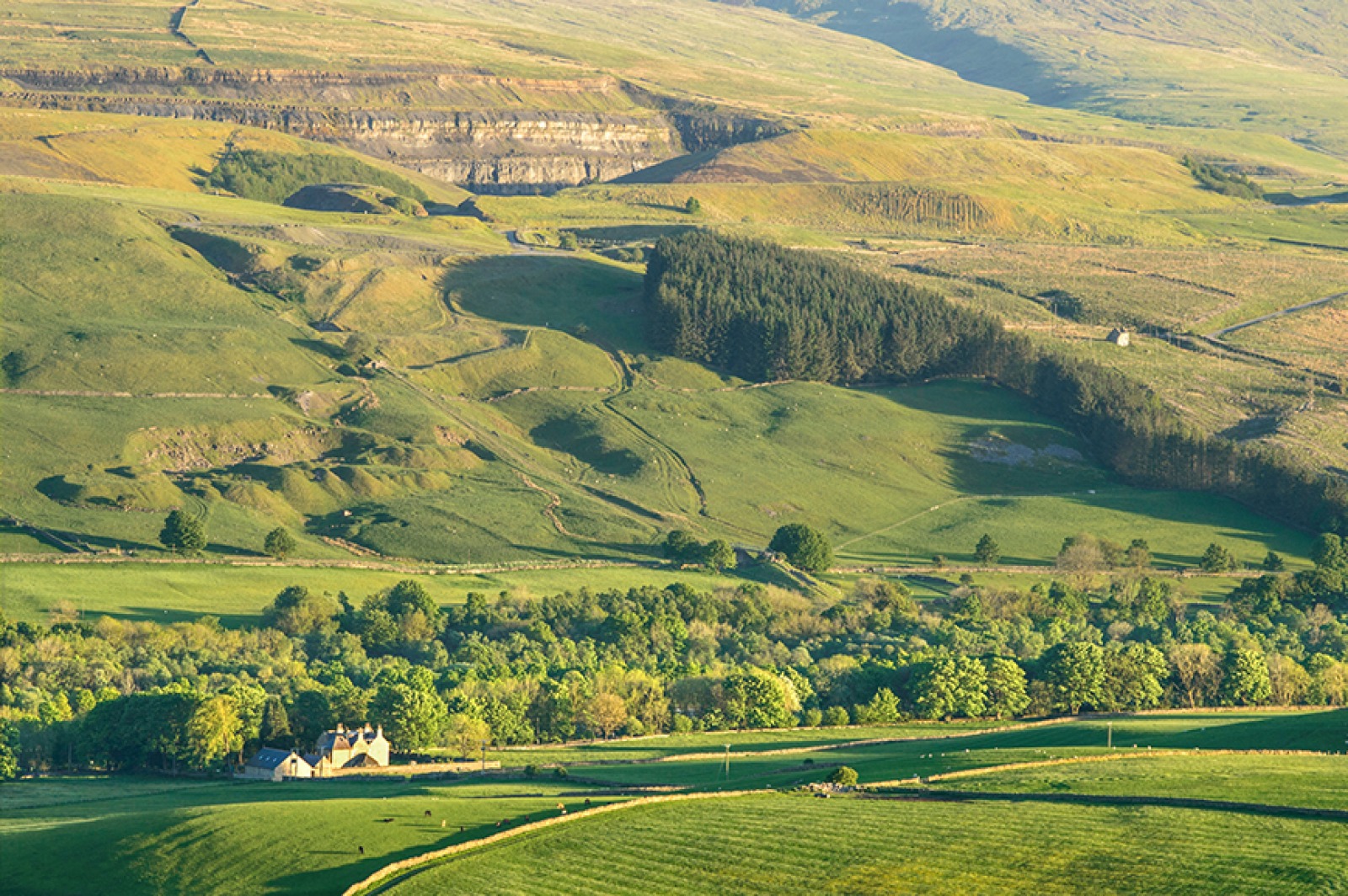 Susan Rowe Captures the Countryside with her Photography | Living North