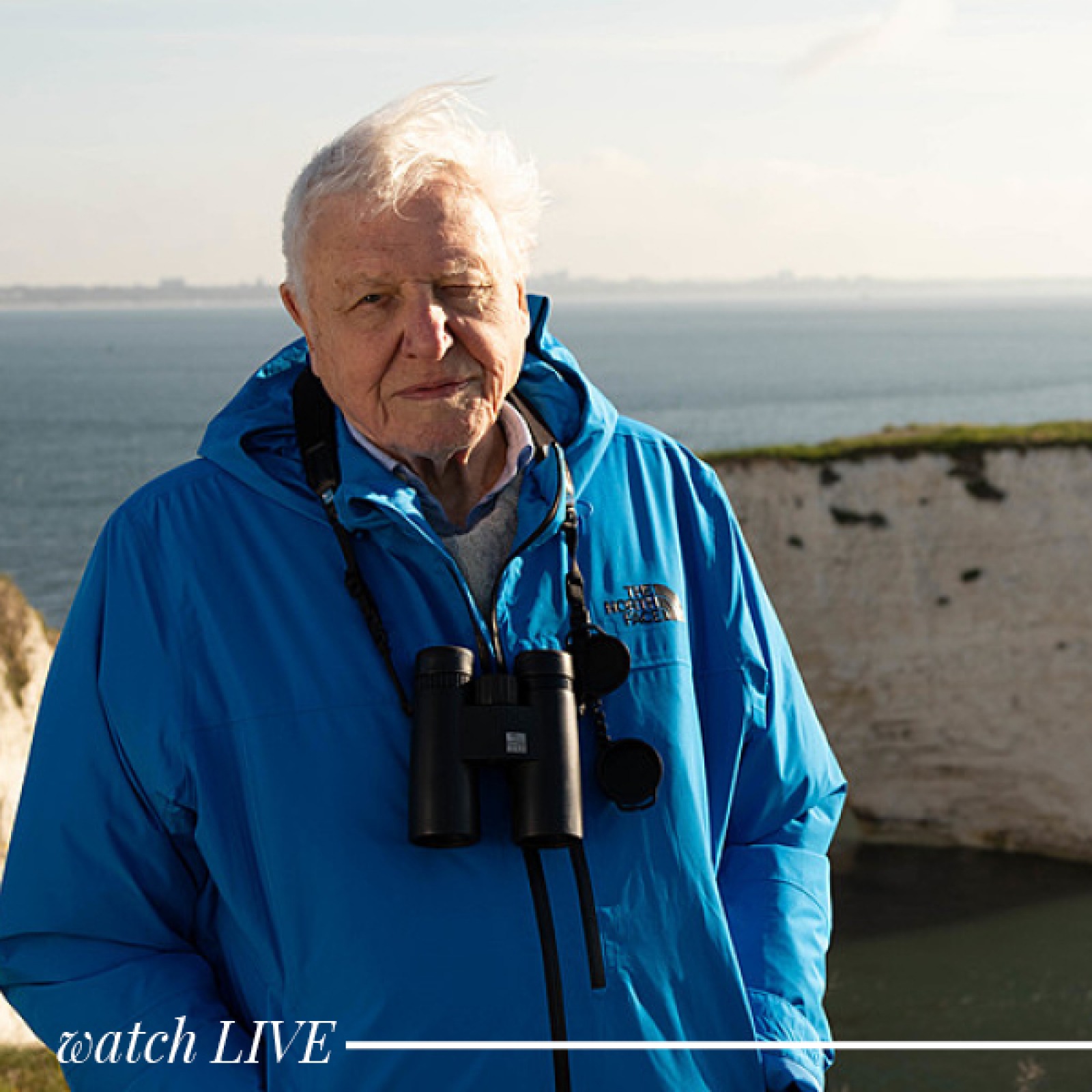 TV Guide: New Taskmaster, the Great British Menu finale and David ...