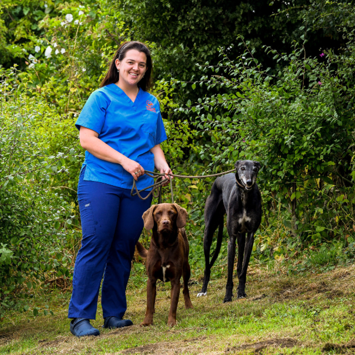 See County Durham's 24/7 Pet Hospital, Wear Referrals on New BBC Show ...