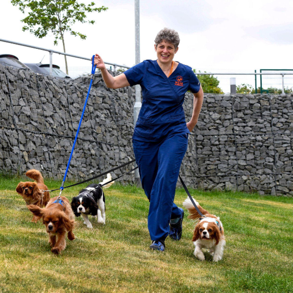 See County Durham's 24/7 Pet Hospital, Wear Referrals on New BBC Show ...