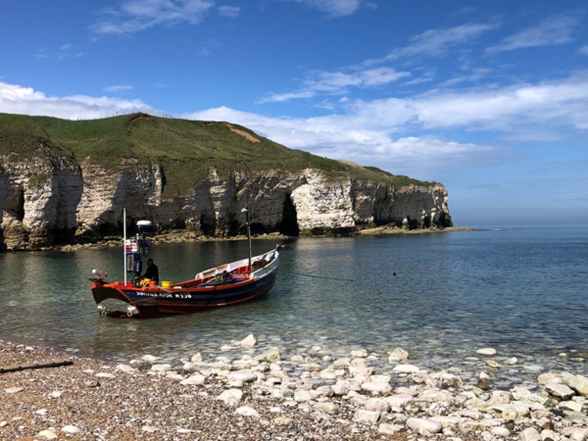 Adventure Cinema, Mighty Dubfest, Lilidorei: Things to Do in the North ...