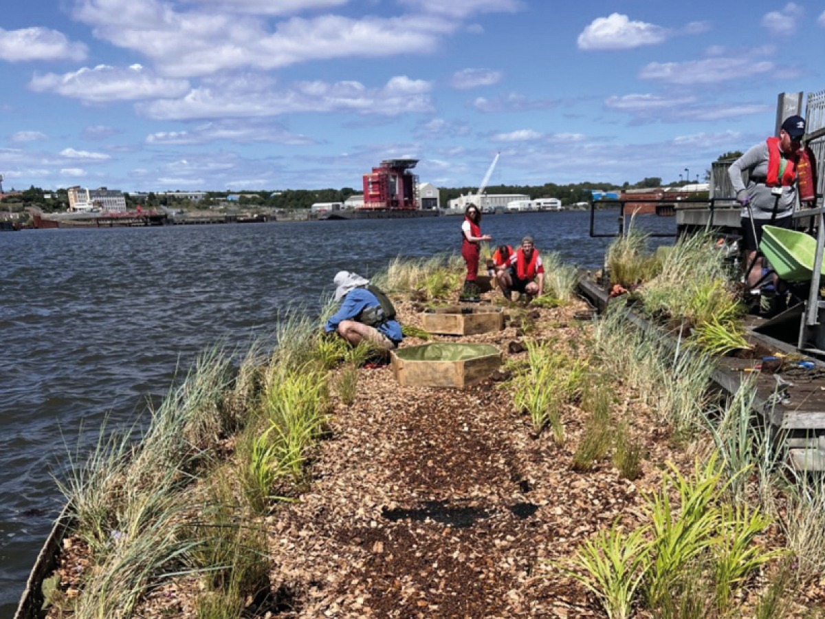 How a Floating Island on the River Tyne Will Bring Biodiversity Back to ...