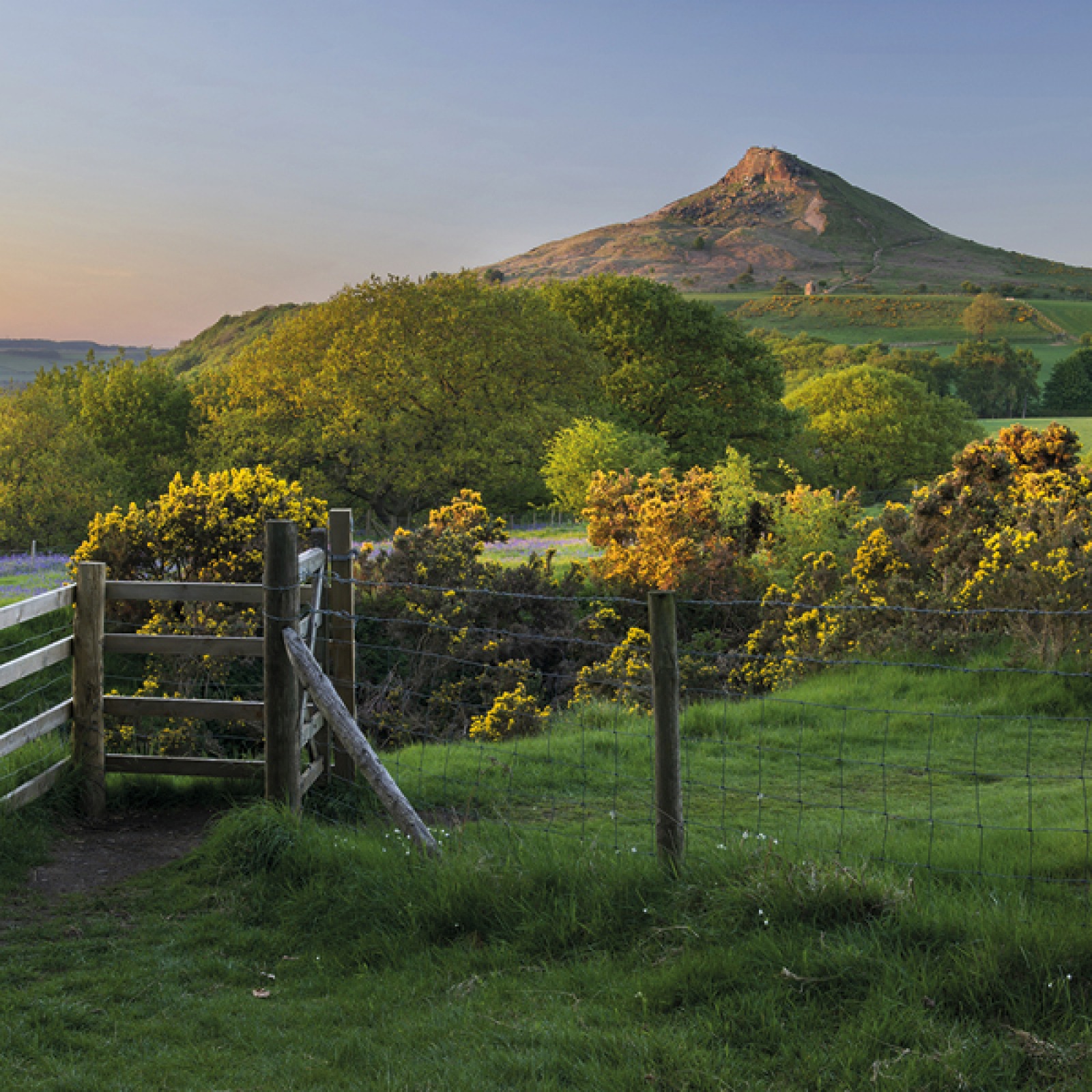 What Shows, Art and Exhibitions are On in North East England this April ...