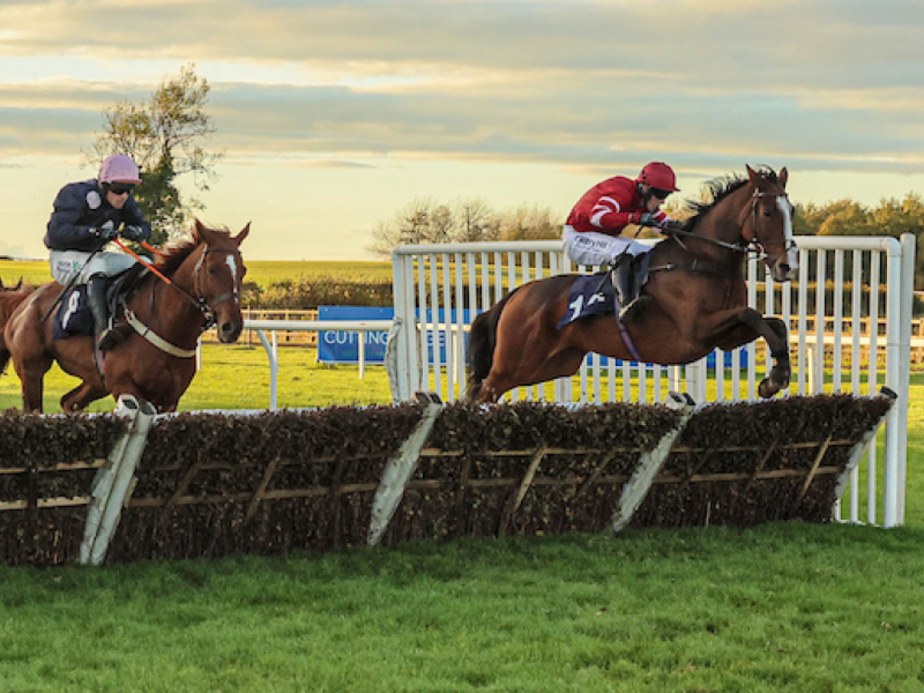 Where to Celebrate Boxing Day at Sedgefield Racecourse's Boxing Day ...