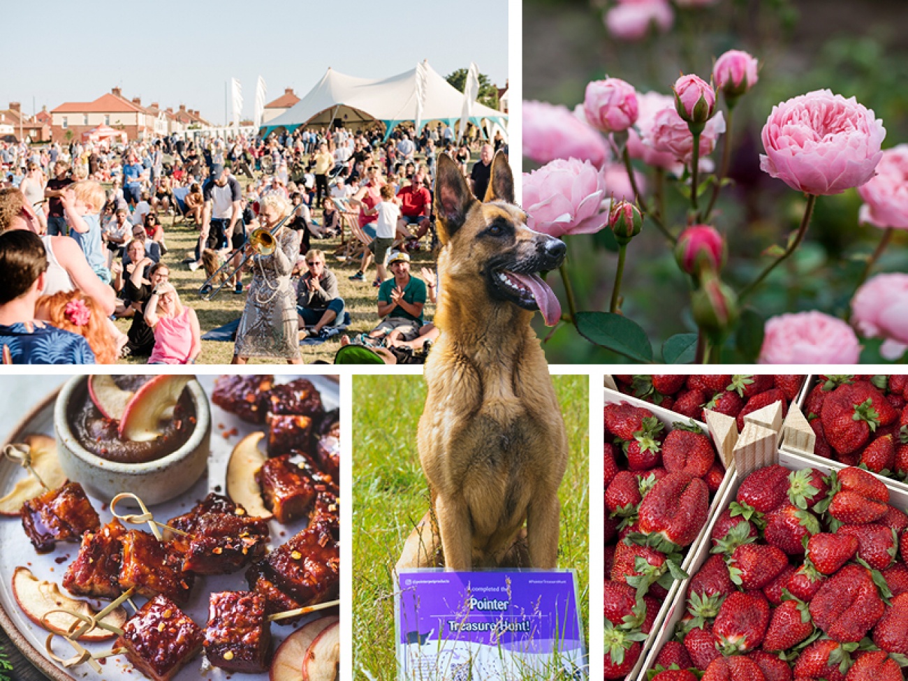 Things to Do This Weekend in The North East and Yorkshire including ...