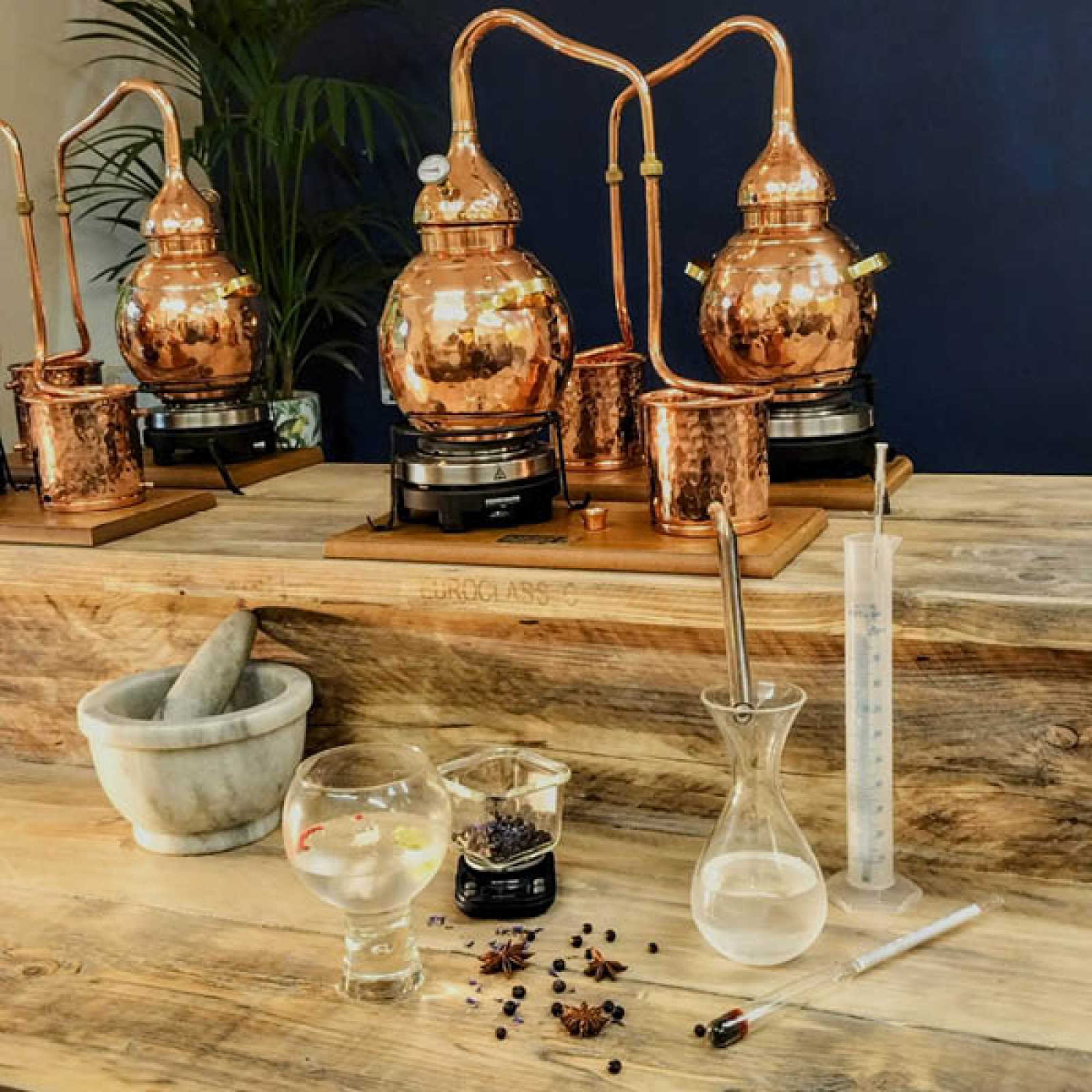 Win a Free Bottle of Gin from New Northumberland Distillery Border ...