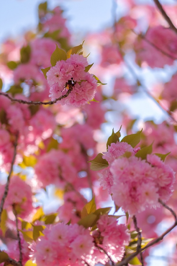 Meet Sheffield Actress Jessica Ransom of Doc Martin and Horrible ...